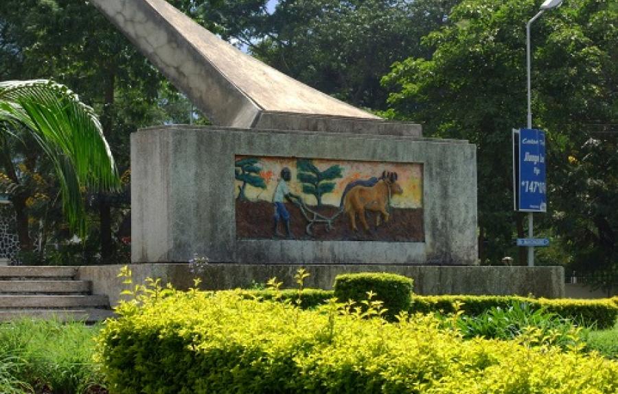 Research | Department of History