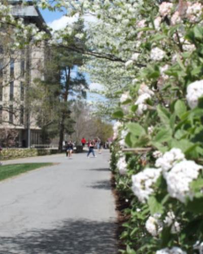 Graduate Student Good News Letter | Department of History